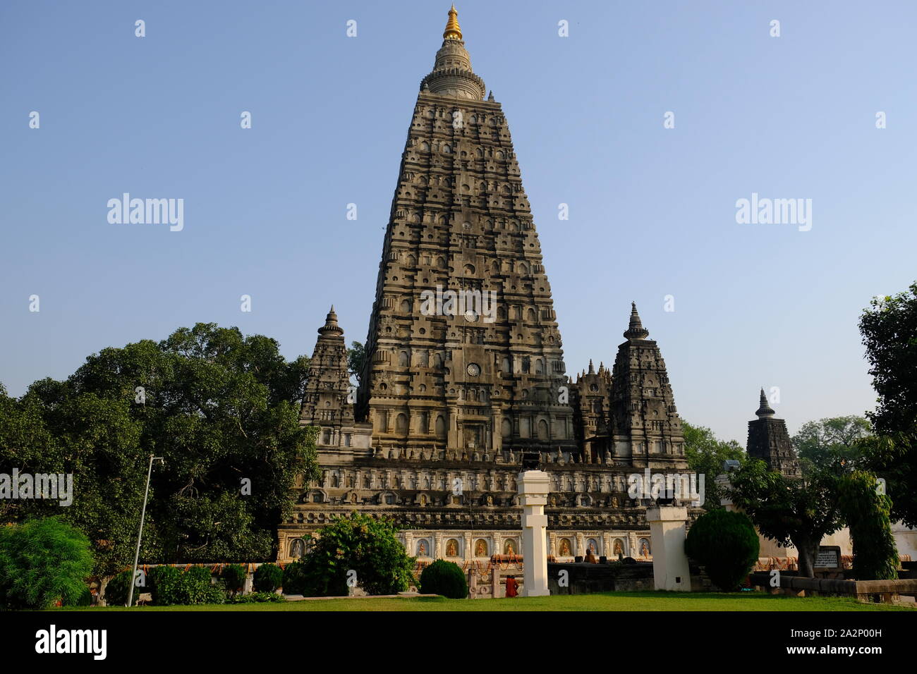 Great awakening hi-res stock photography and images - Alamy