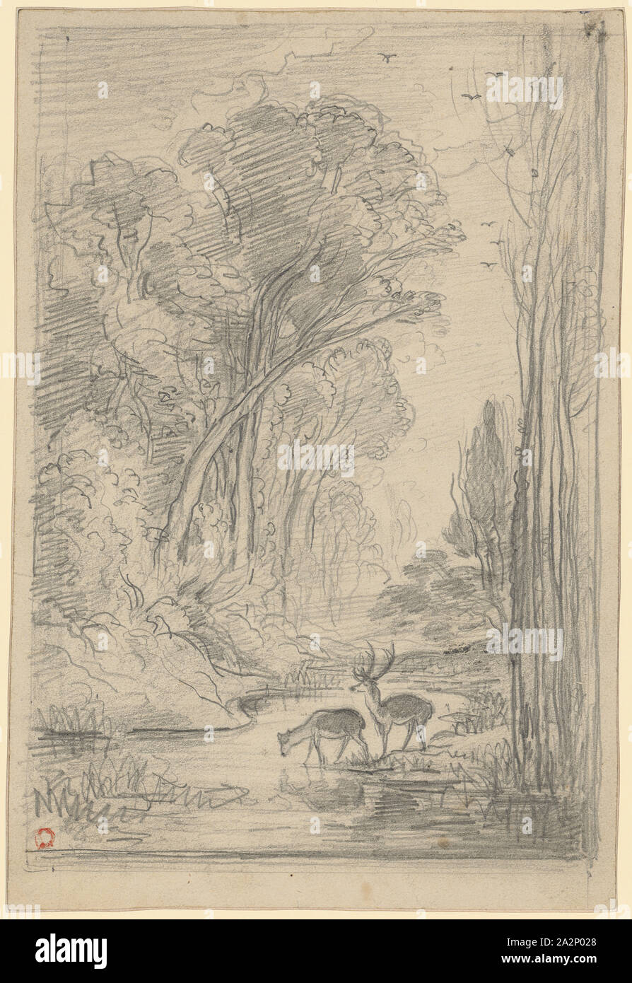 Doe Drawings In Pencil