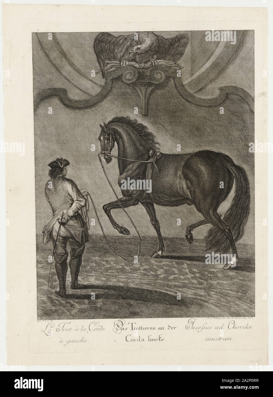 60 x 43 5 cm hi-res stock photography and images - Alamy