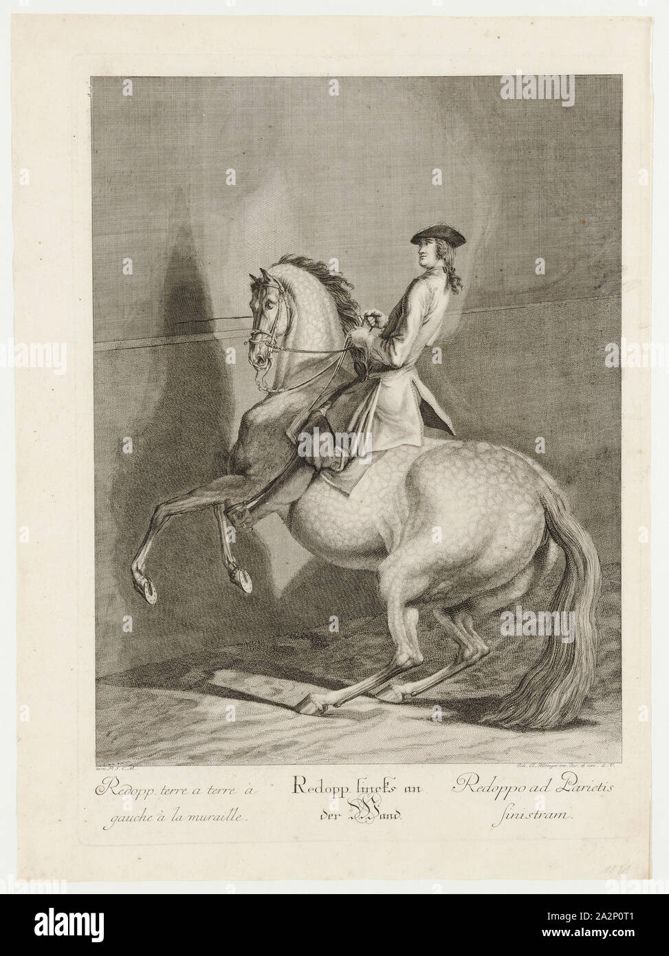 54 2 x 44 cm hi-res stock photography and images - Alamy