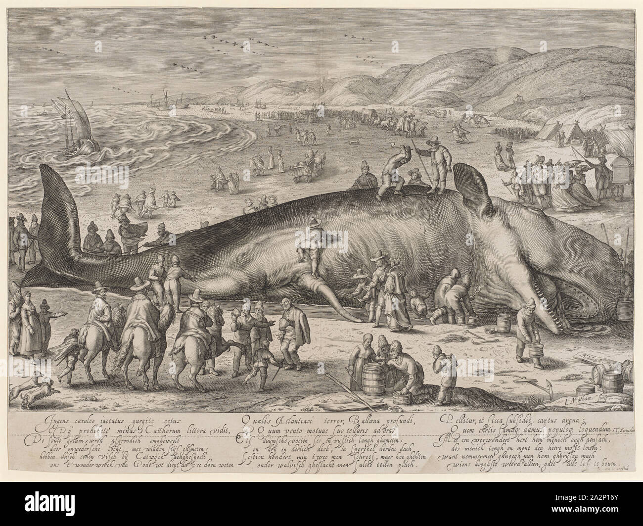 1631 haarlem hi-res stock photography and images - Alamy