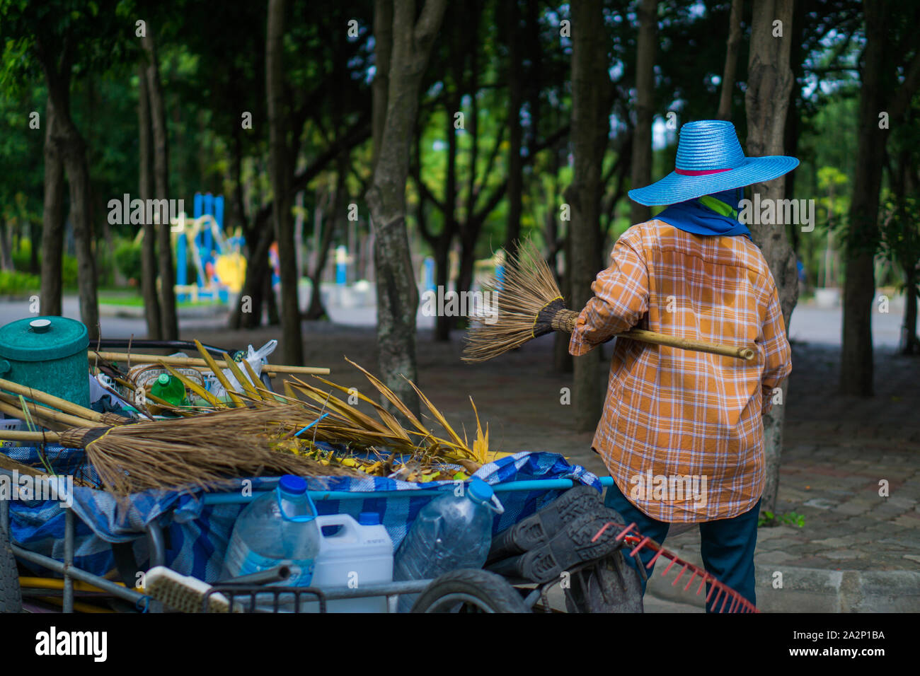An Asian woman is sweeping dry leaves by the road in the outdoor garden ...