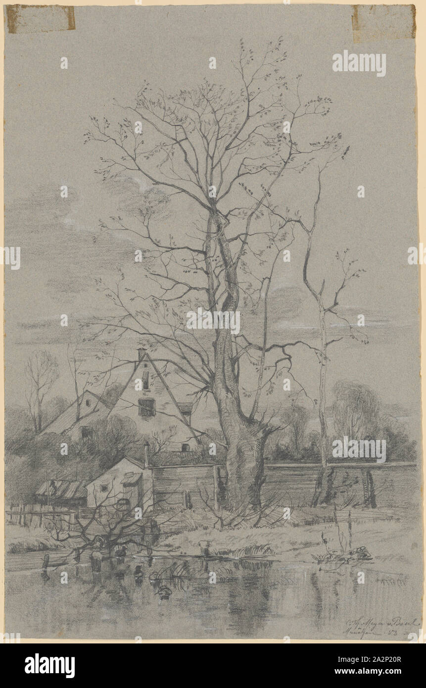 Almost leafless tree hi-res stock photography and images - Alamy