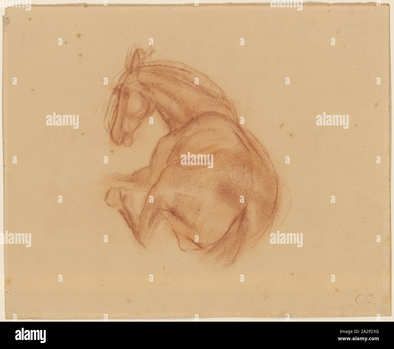 Horse lying, red chalk, leaf: 32 x 39.5 cm, U. r., Monogrammed in chalk ...