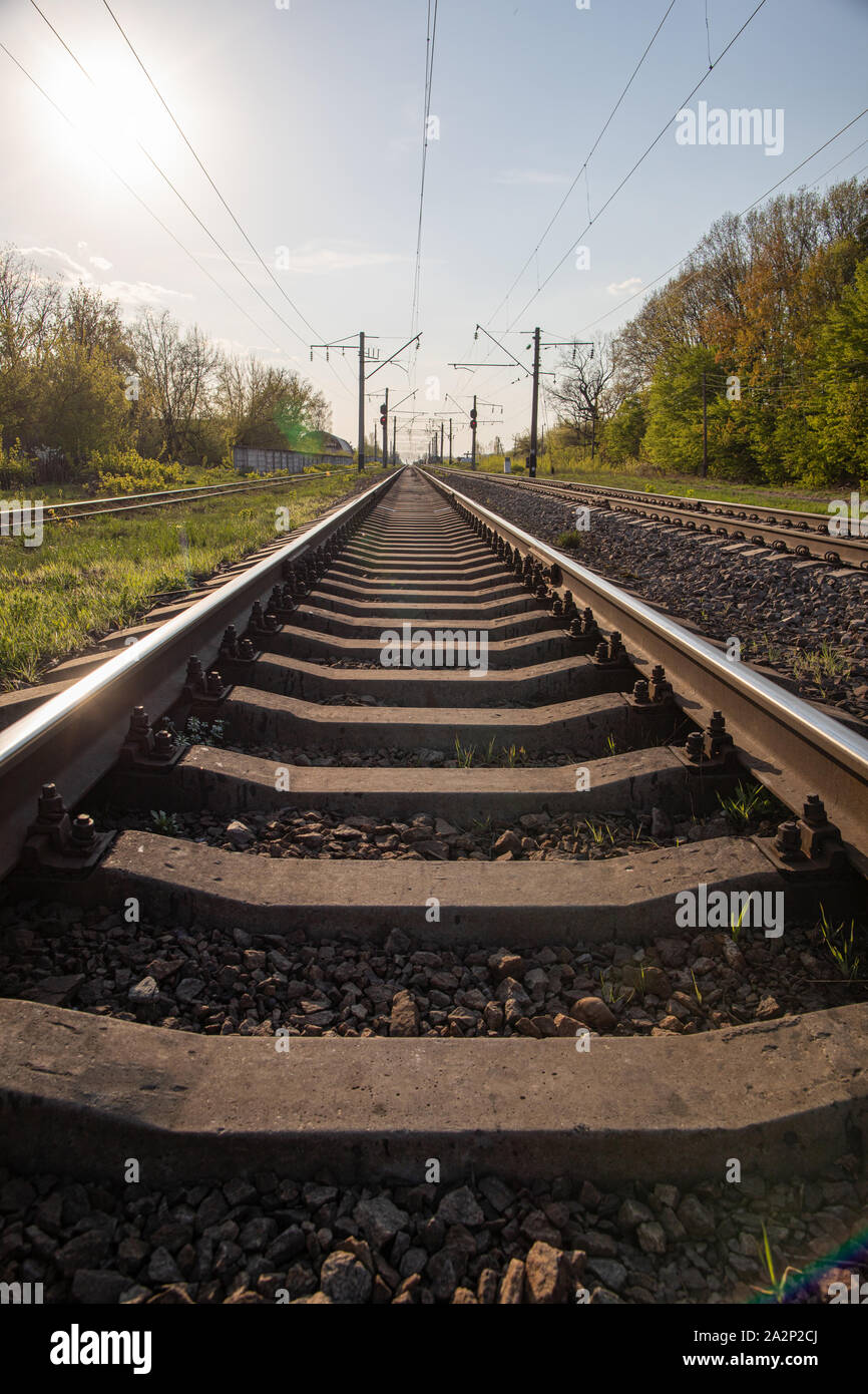 Single-track railway line in summer forest Stock Photo - Alamy