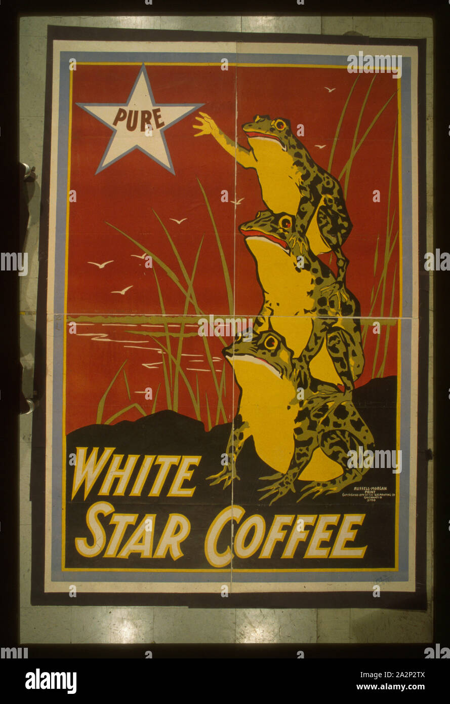 Pure white star coffee Stock Photo - Alamy