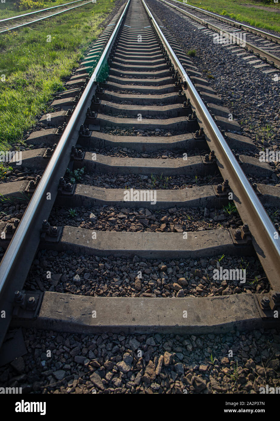 Single-track railway line in summer forest Stock Photo - Alamy