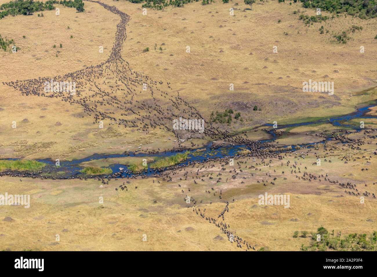 Masai mara aerial hi-res stock photography and images - Alamy