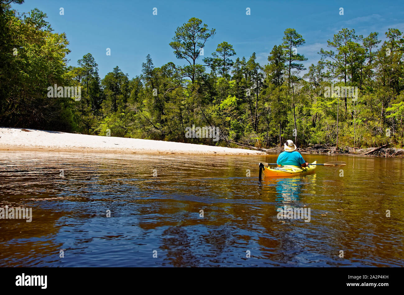 Blackwater river state park, holt hi-res stock photography and images ...