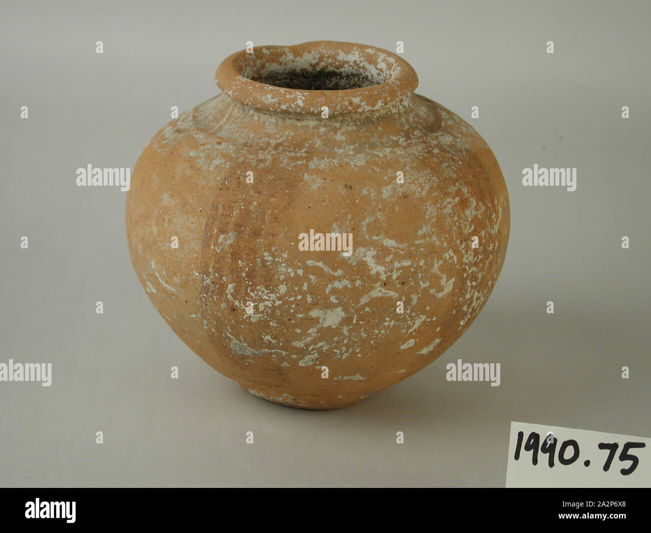Squat globular hi-res stock photography and images - Alamy