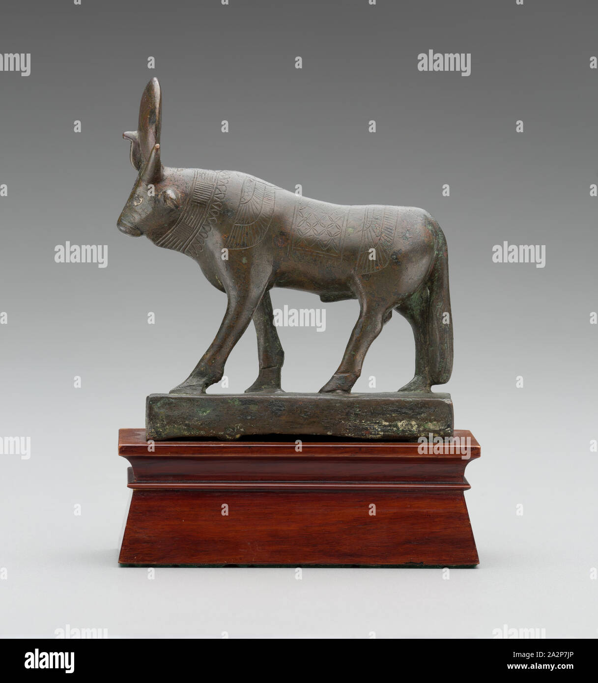 Egyptian apis bull hi-res stock photography and images - Alamy