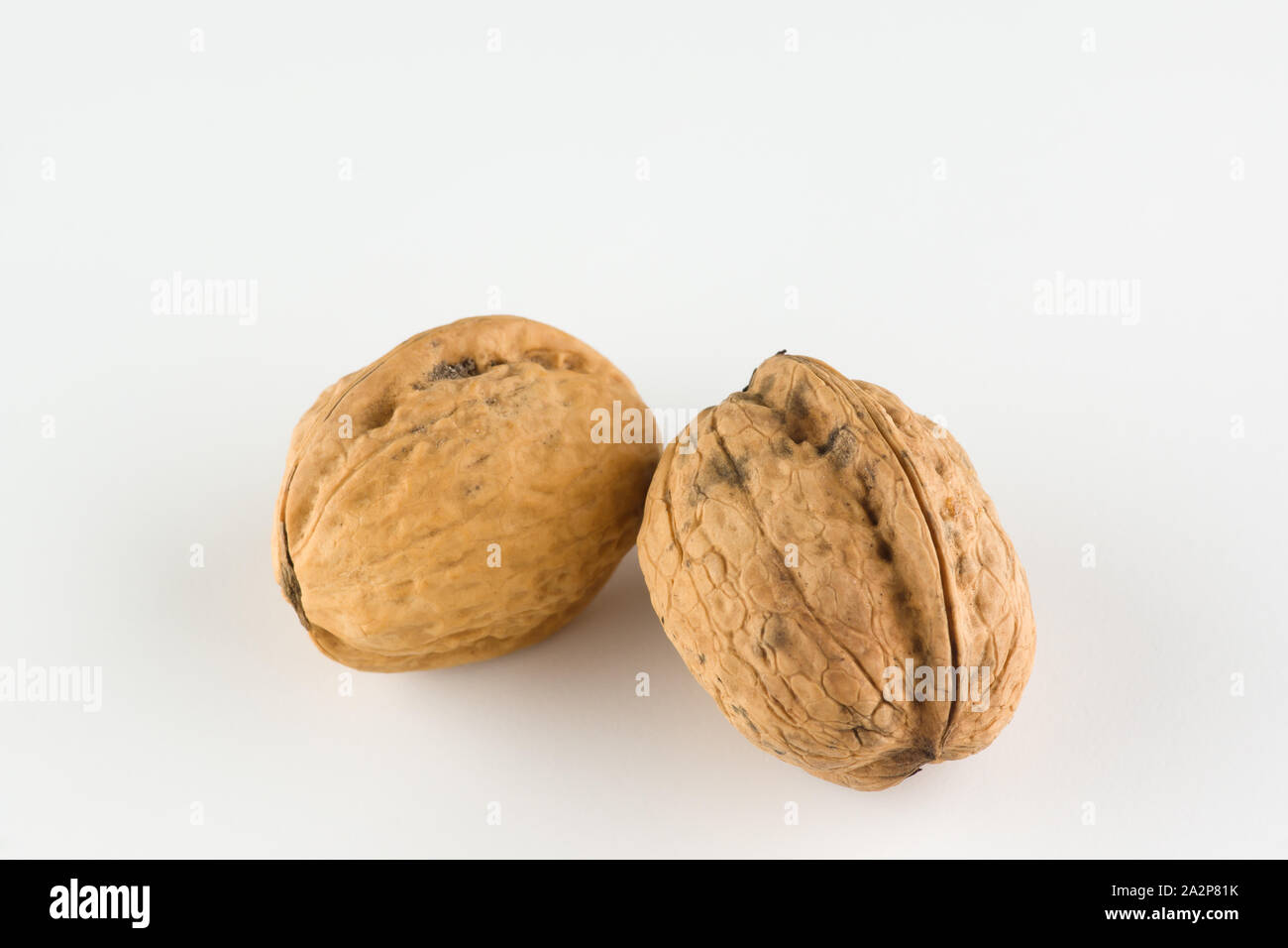 Walnut closeup image isolated on white background Stock Photo - Alamy