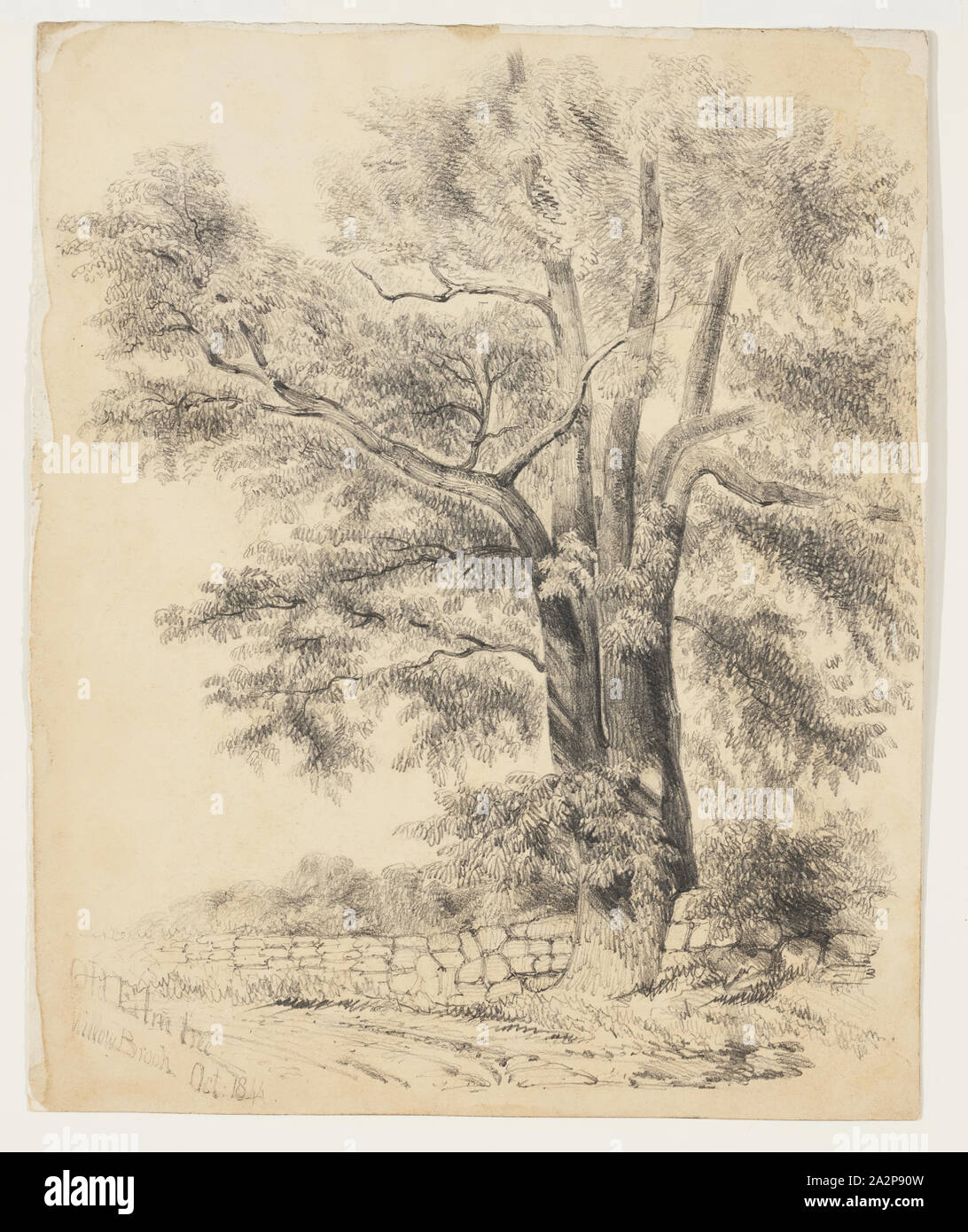 Edward seager hi-res stock photography and images - Alamy