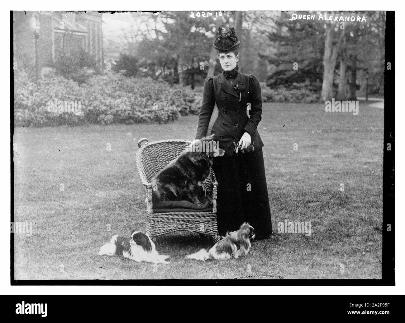 Queen leader Cut Out Stock Images & Pictures - Alamy