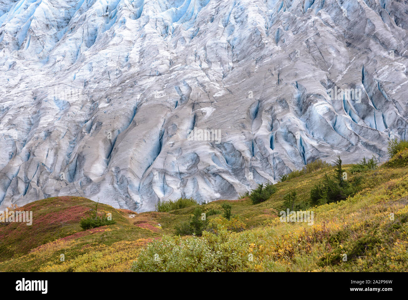 Close up of ice of Exit Glacier, Harding Icefield, Kenai Fjords ...