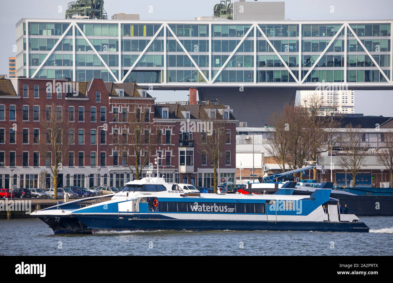 Rotterdam, Netherlands, the river Nieuwe Maas, water bus, public ...