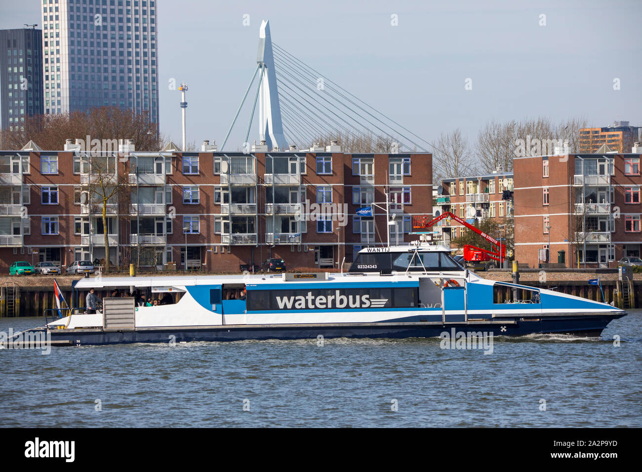 Rotterdam, Netherlands, the river Nieuwe Maas, water bus, public ...