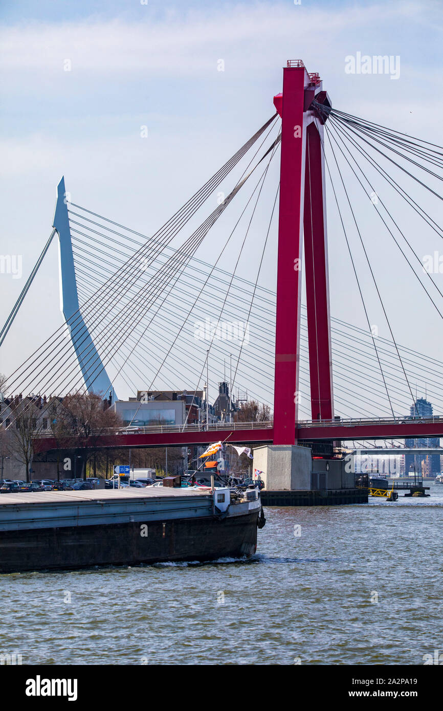 Rotterdam, Netherlands, the river Nieuwe Maas, cargo ships, Willemsbrug ...