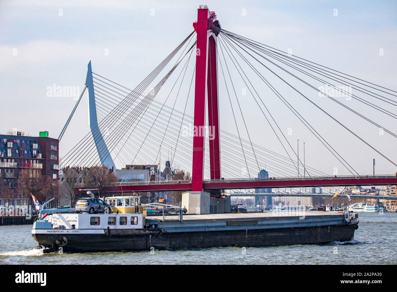 Rotterdam, Netherlands, the river Nieuwe Maas, cargo ships, Willemsbrug ...