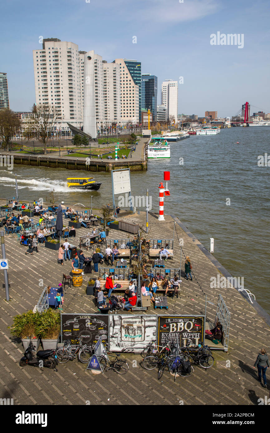 Rotterdam, Netherlands, the river Nieuwe Maas, café, beer garden on the ...