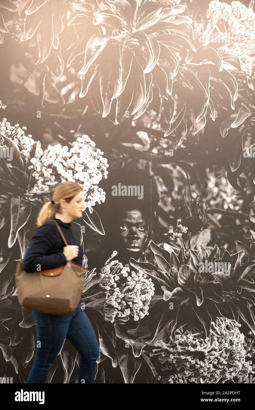 South argican hi-res stock photography and images - Alamy