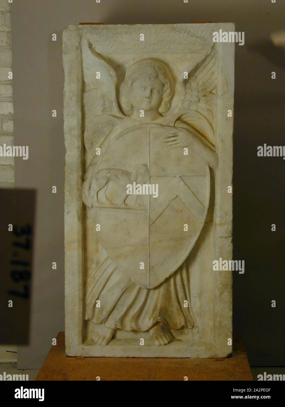 49 63 3 cm hi-res stock photography and images - Alamy