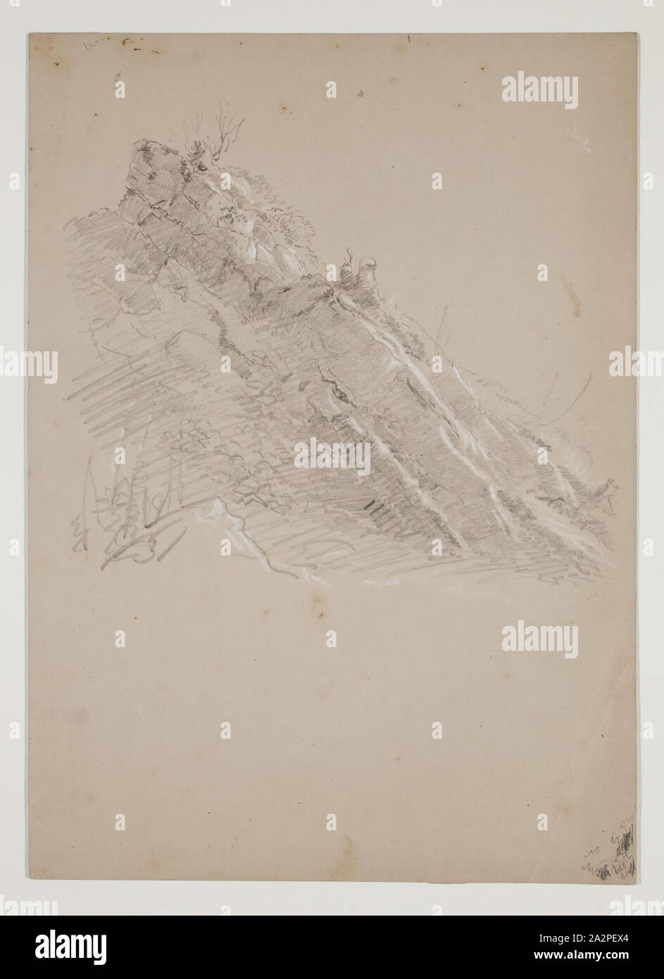 29 stumps hi-res stock photography and images - Alamy