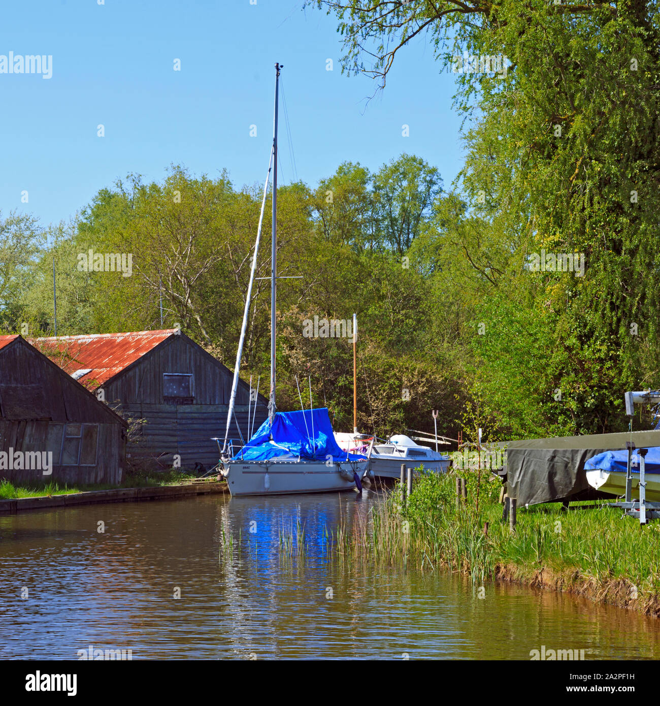 Boat moorings on small Creek on Hickling Broad on the Norfolk Broads ...