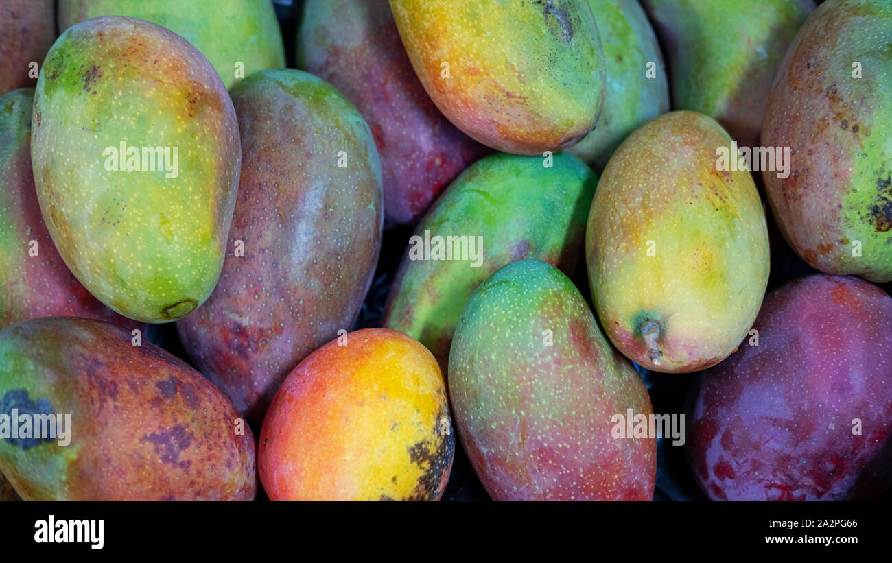 Tommy atkins mango hi-res stock photography and images - Alamy