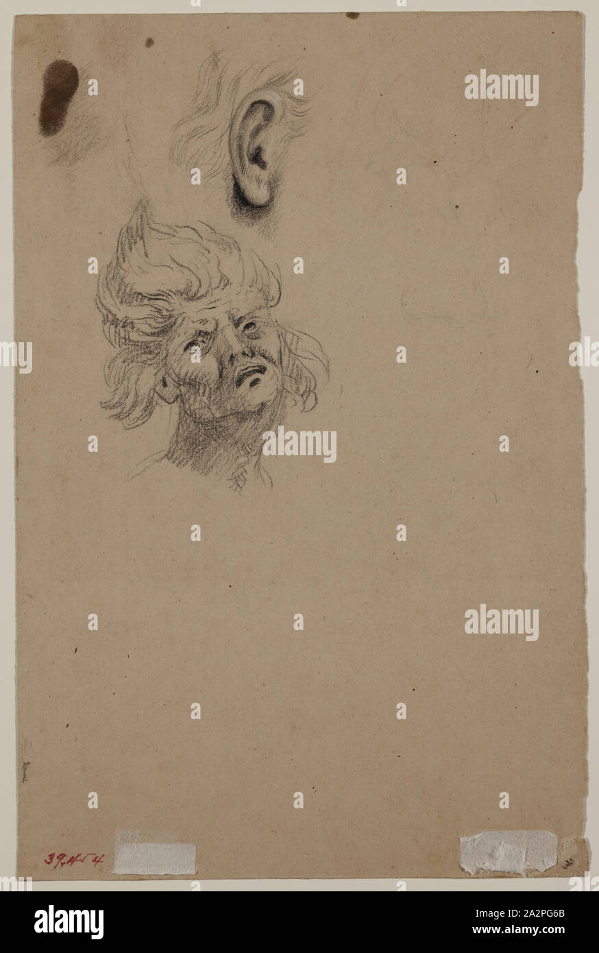 Ear heightened hi-res stock photography and images - Alamy