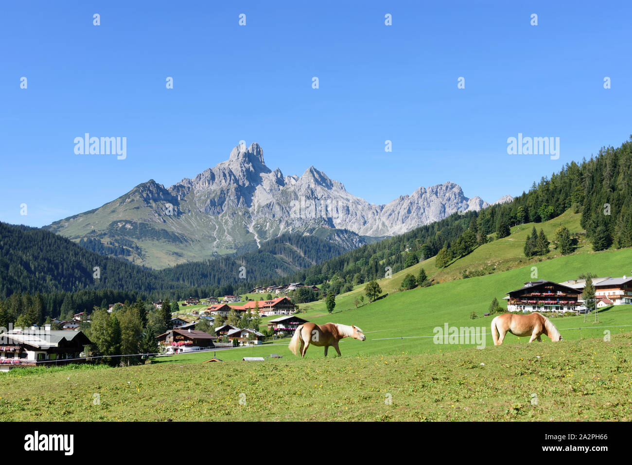 Filzmoos village hi-res stock photography and images - Alamy