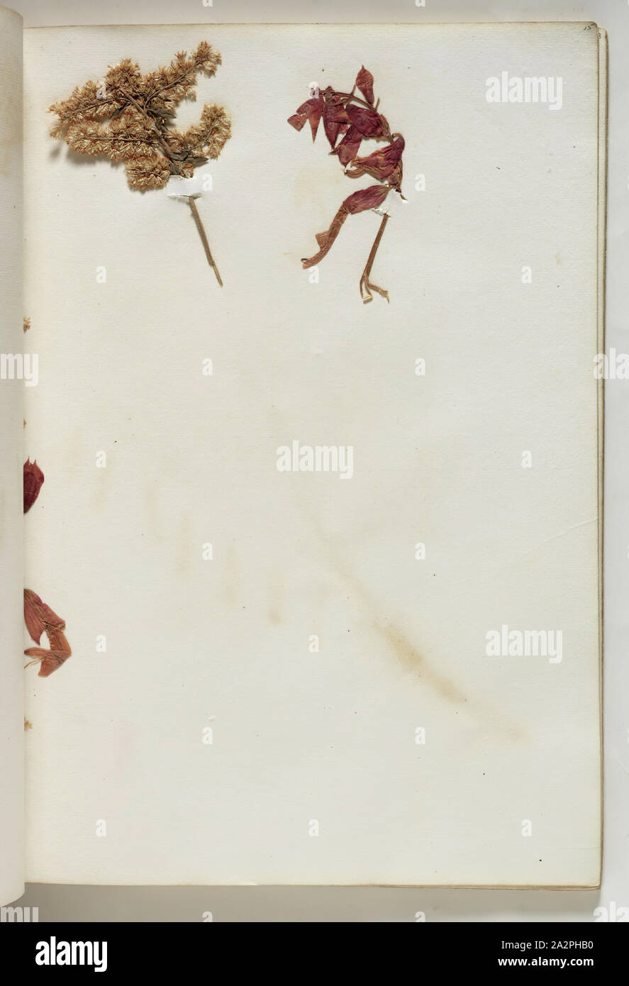 Attached sheet hi-res stock photography and images - Alamy