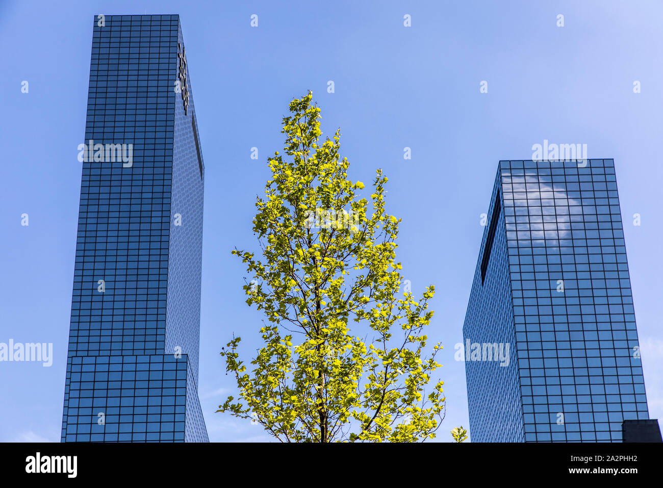 High-rise facade in downtown Rotterdam, Netherlands, Delftse Port ...