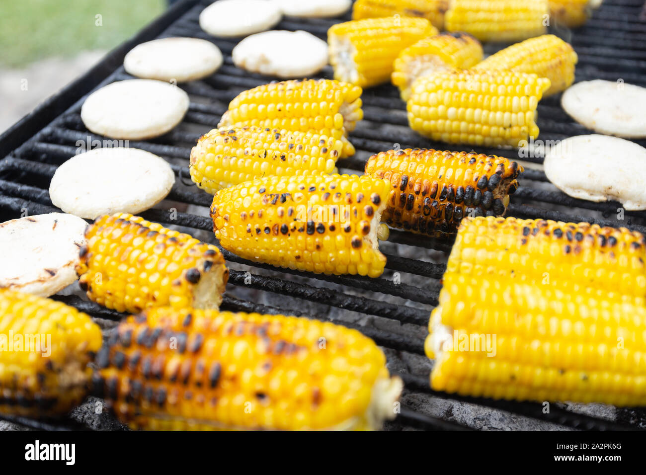 roasted cobs, typical food of Colombia - close-up image Stock Photo - Alamy