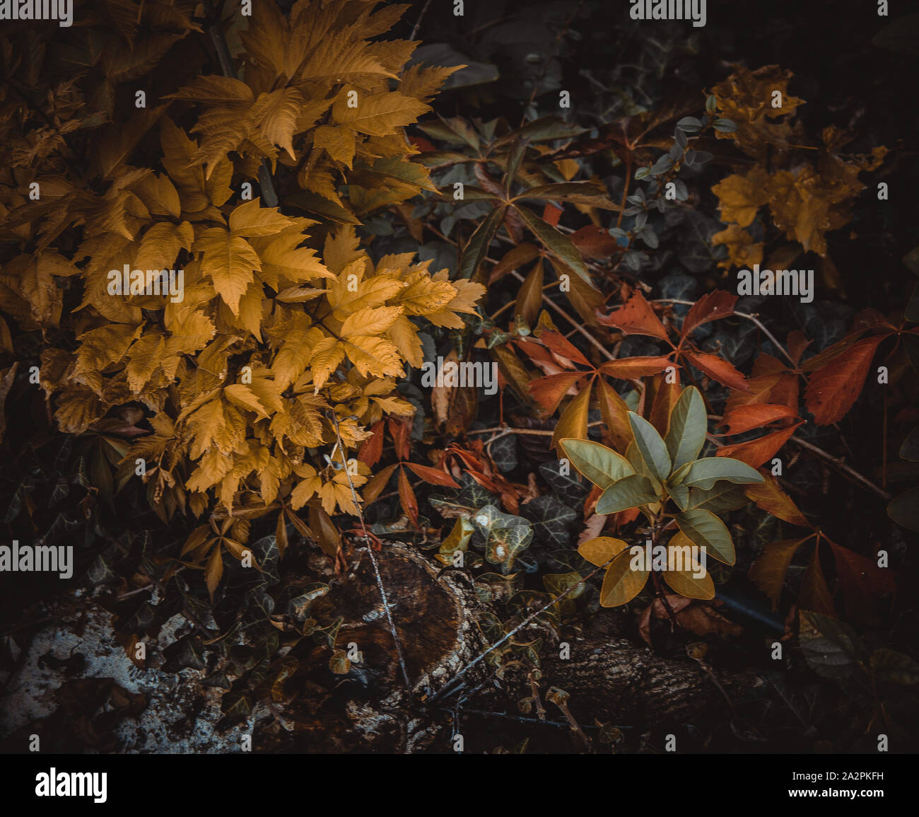 Signs of autumn hi-res stock photography and images - Alamy