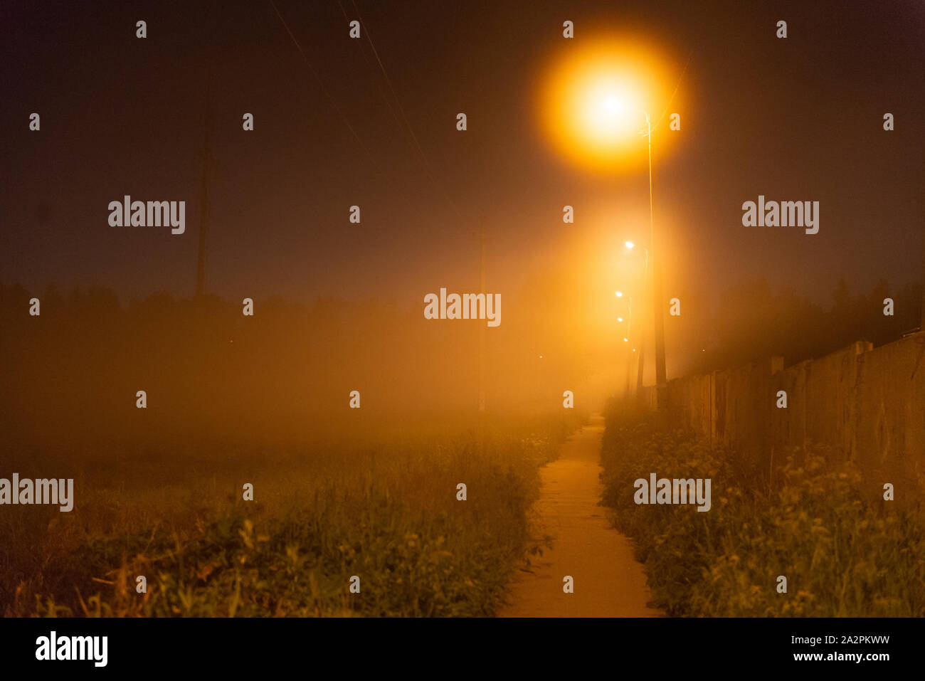 Night path under the light of lanterns. Night fog and street lights ...