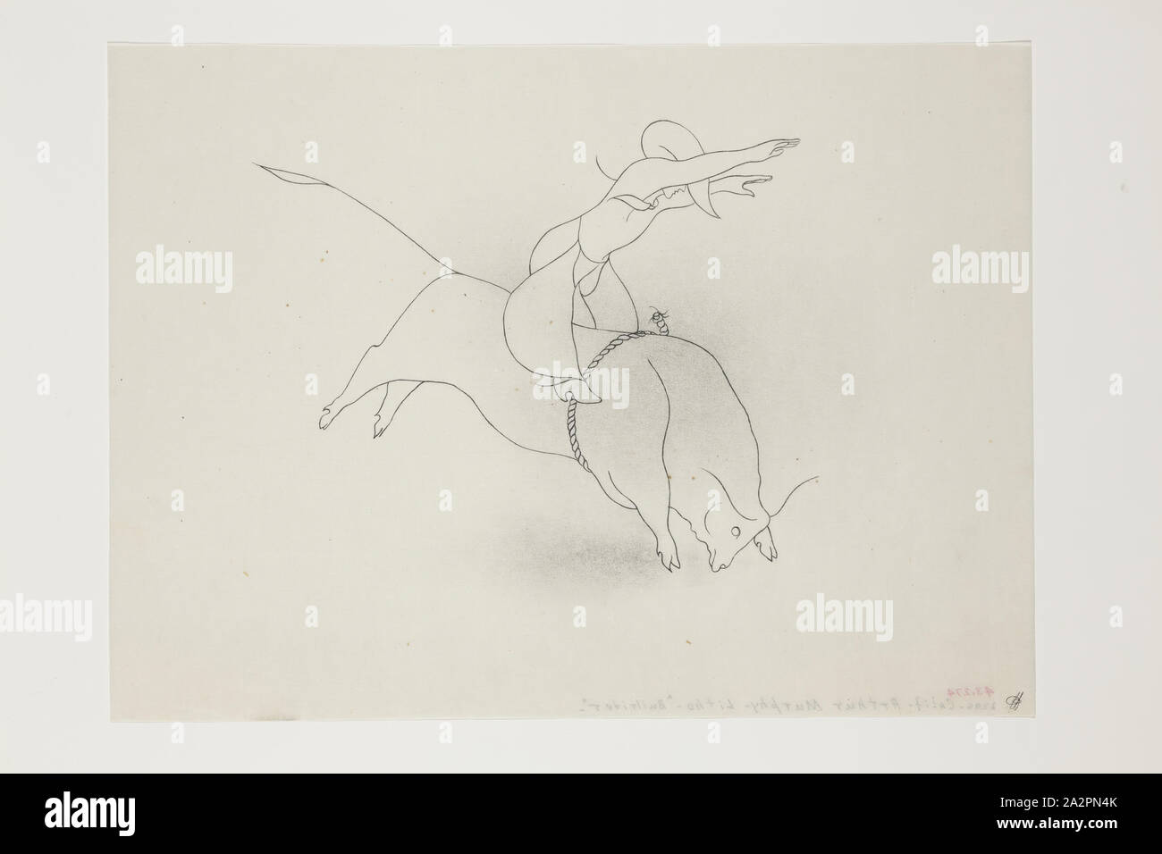 American rider hi-res stock photography and images - Alamy