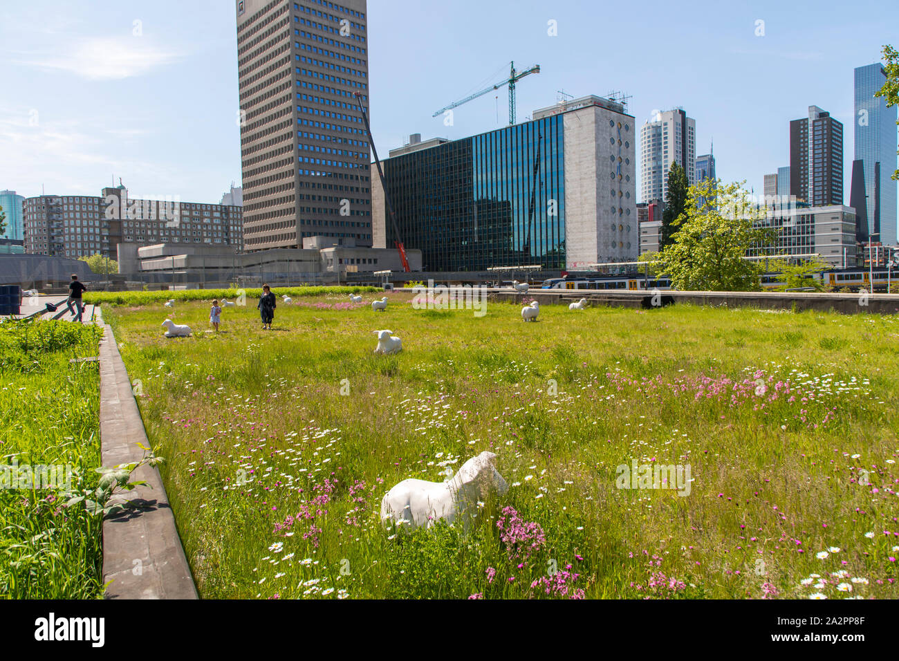Art project on the roof of the former railway station Hofplein Station ...
