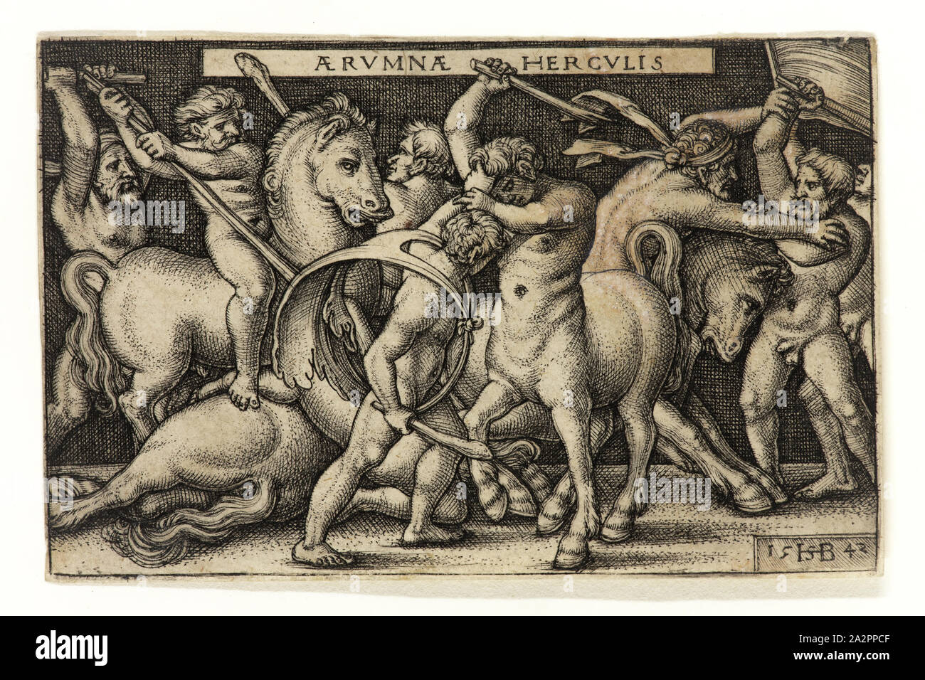 Hercules fighting centaurs hi-res stock photography and images - Alamy
