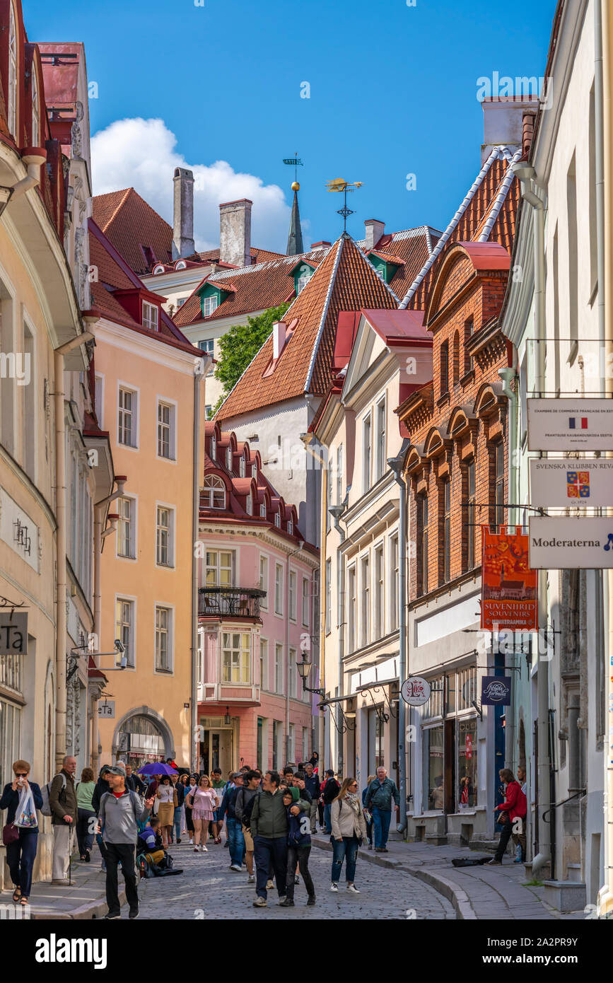Tallinn estonia architecture buildings hi-res stock photography and ...