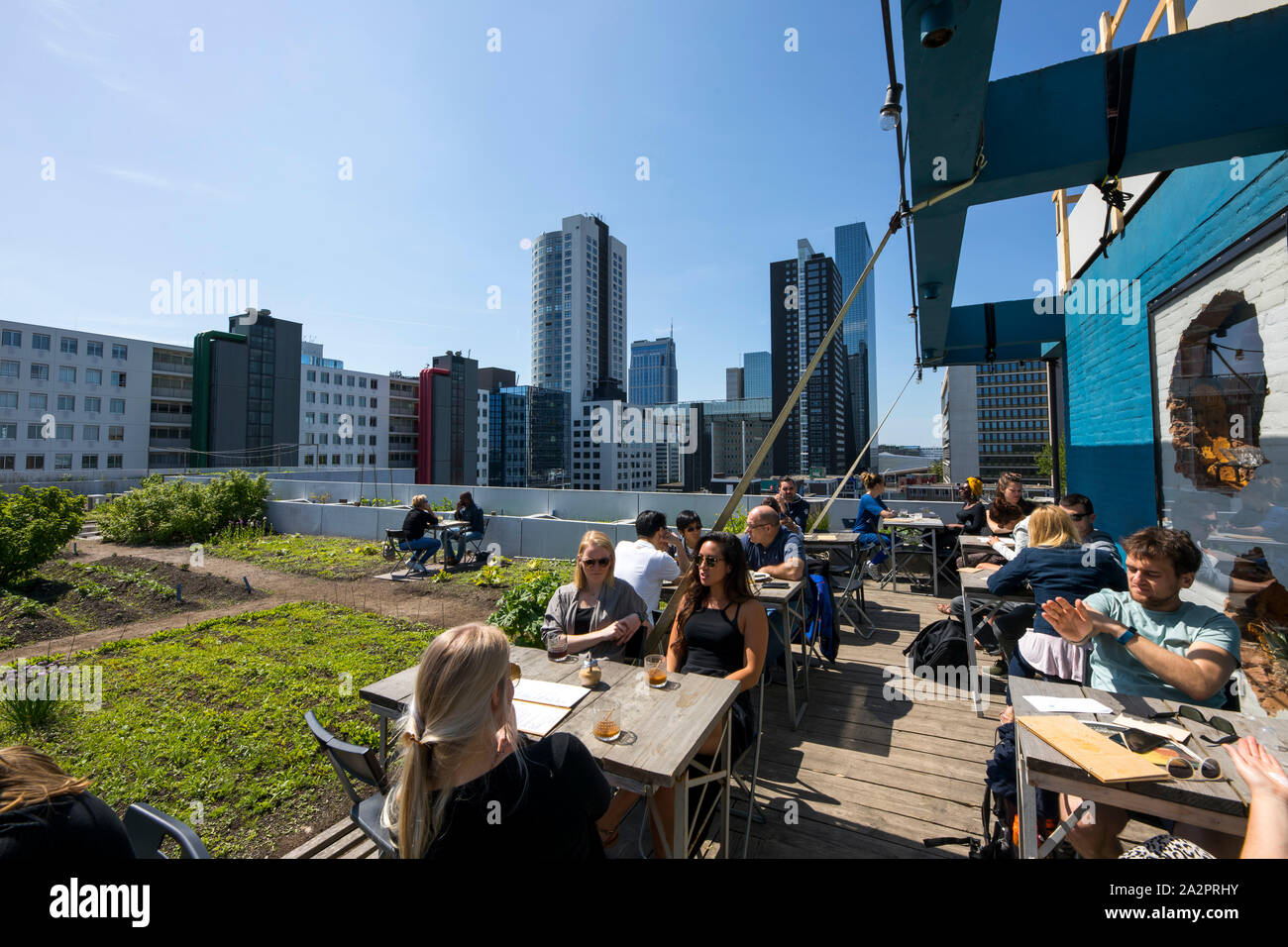 Schieblock, a former office building in downtown Rotterdam, Netherlands ...