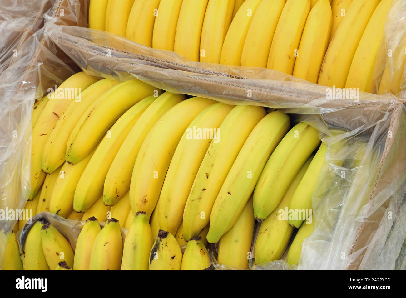 Full box bananas hi-res stock photography and images - Alamy