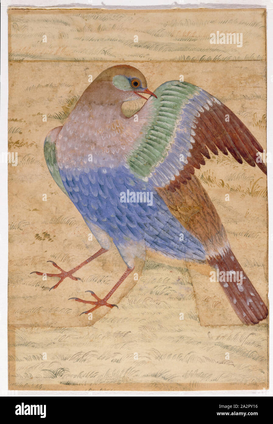 Islamic Bird High Resolution Stock Photography and Images - Alamy