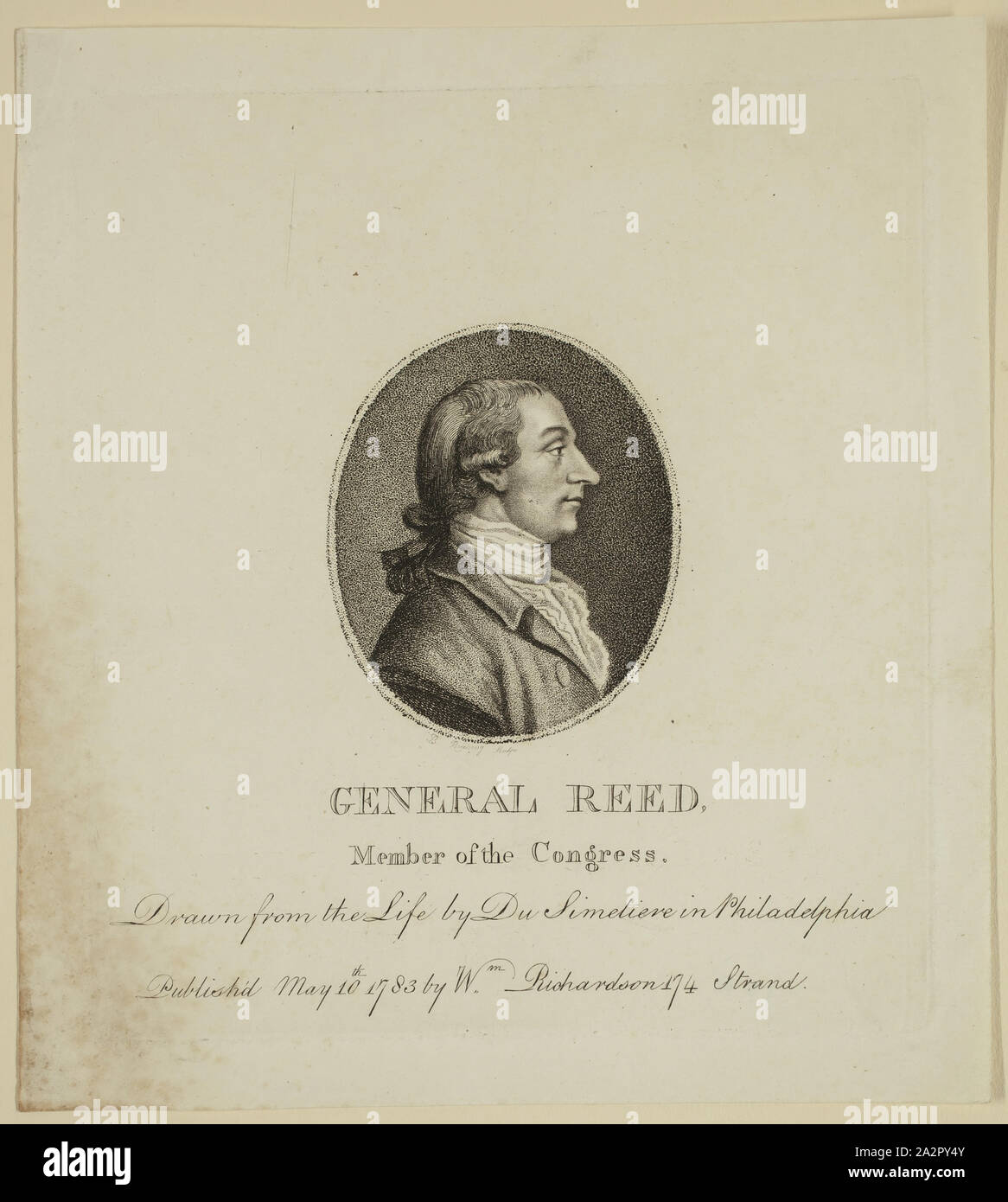 General reed hi-res stock photography and images - Alamy