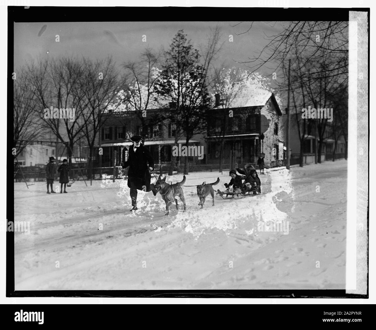 Dogs handlers Black and White Stock Photos & Images - Alamy