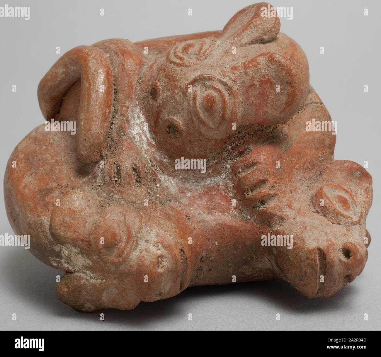 Three young pumas hi-res stock photography and images - Alamy