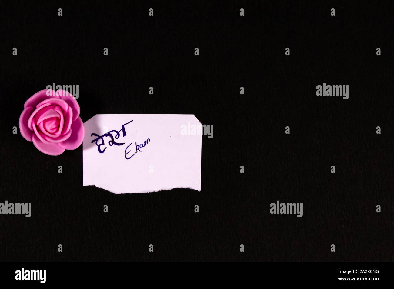 Hand written name initials on white paper with beautiful artifical pink ...