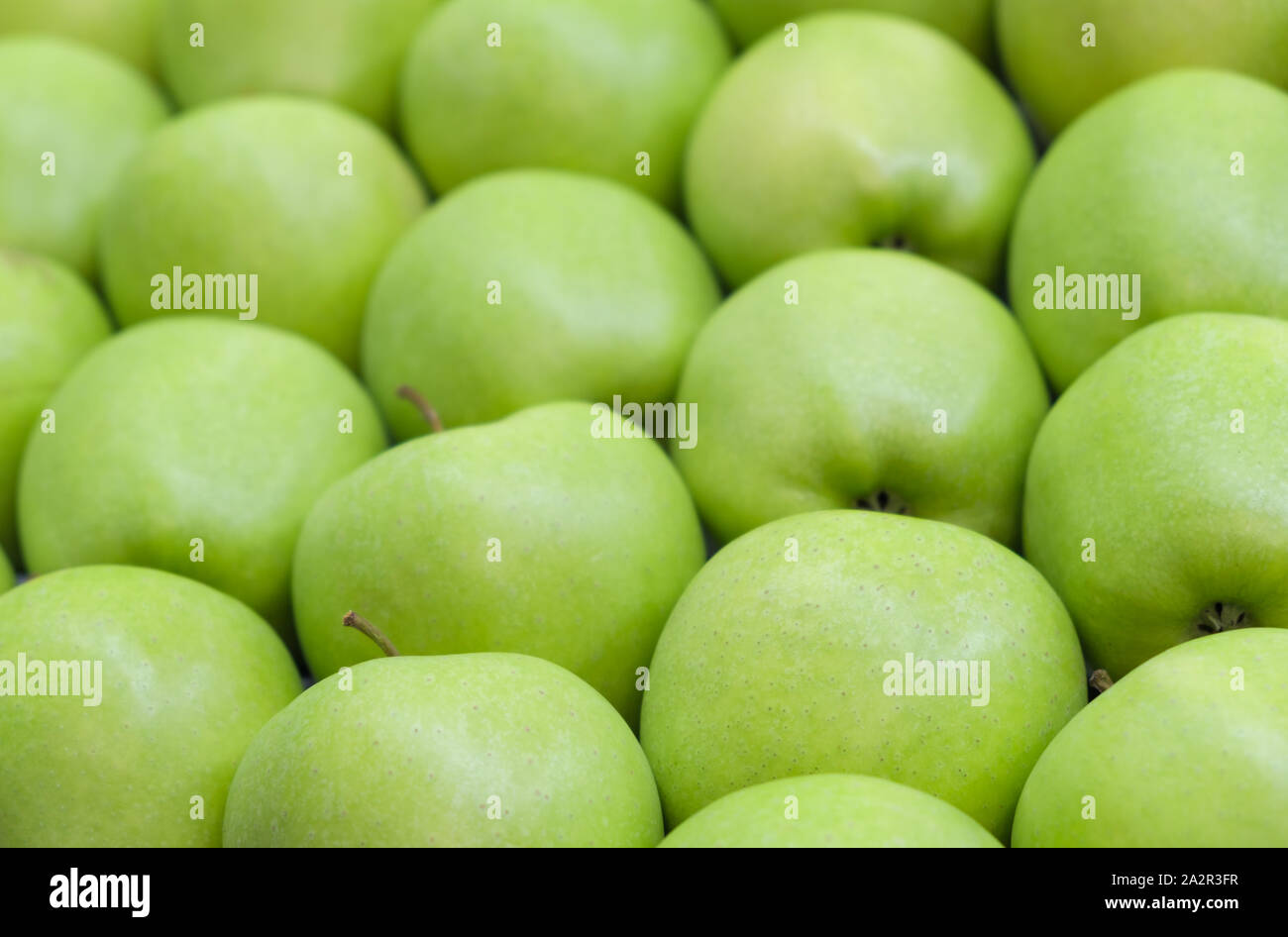 Fresh green apples Stock Photo - Alamy