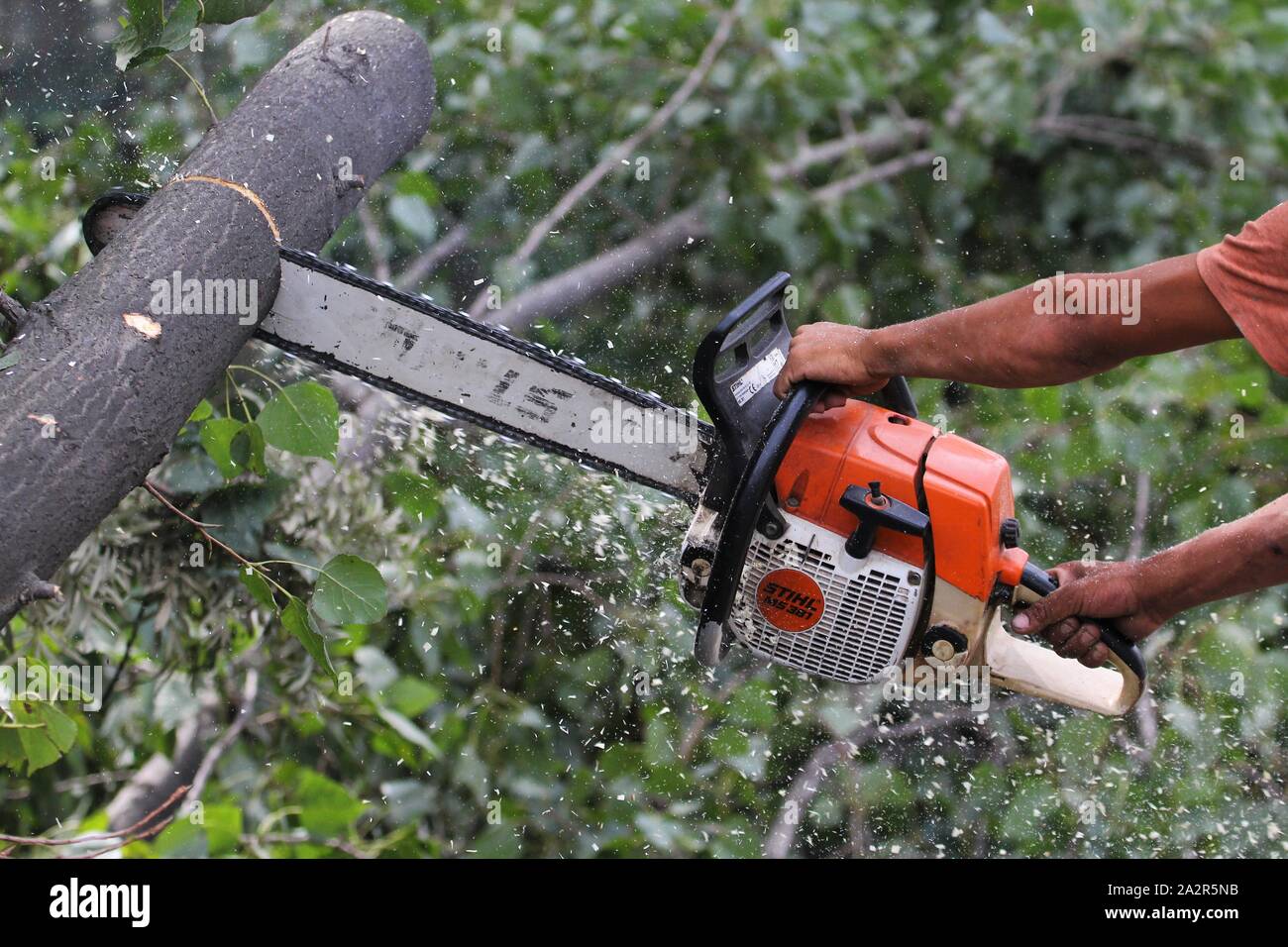 Two thousand trees hi-res stock photography and images - Alamy