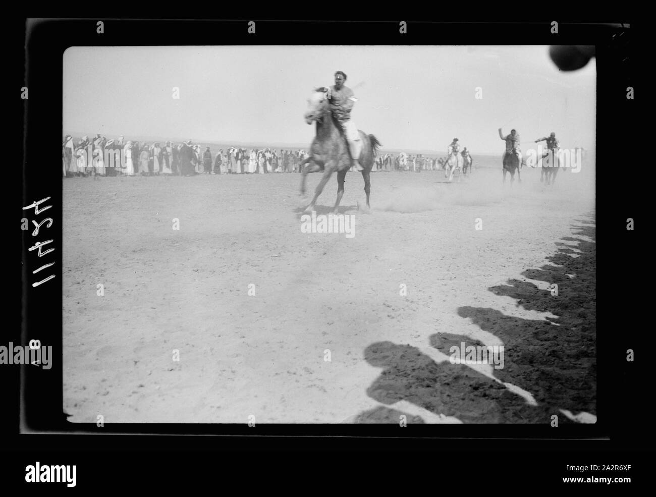 First horse hi-res stock photography and images - Alamy